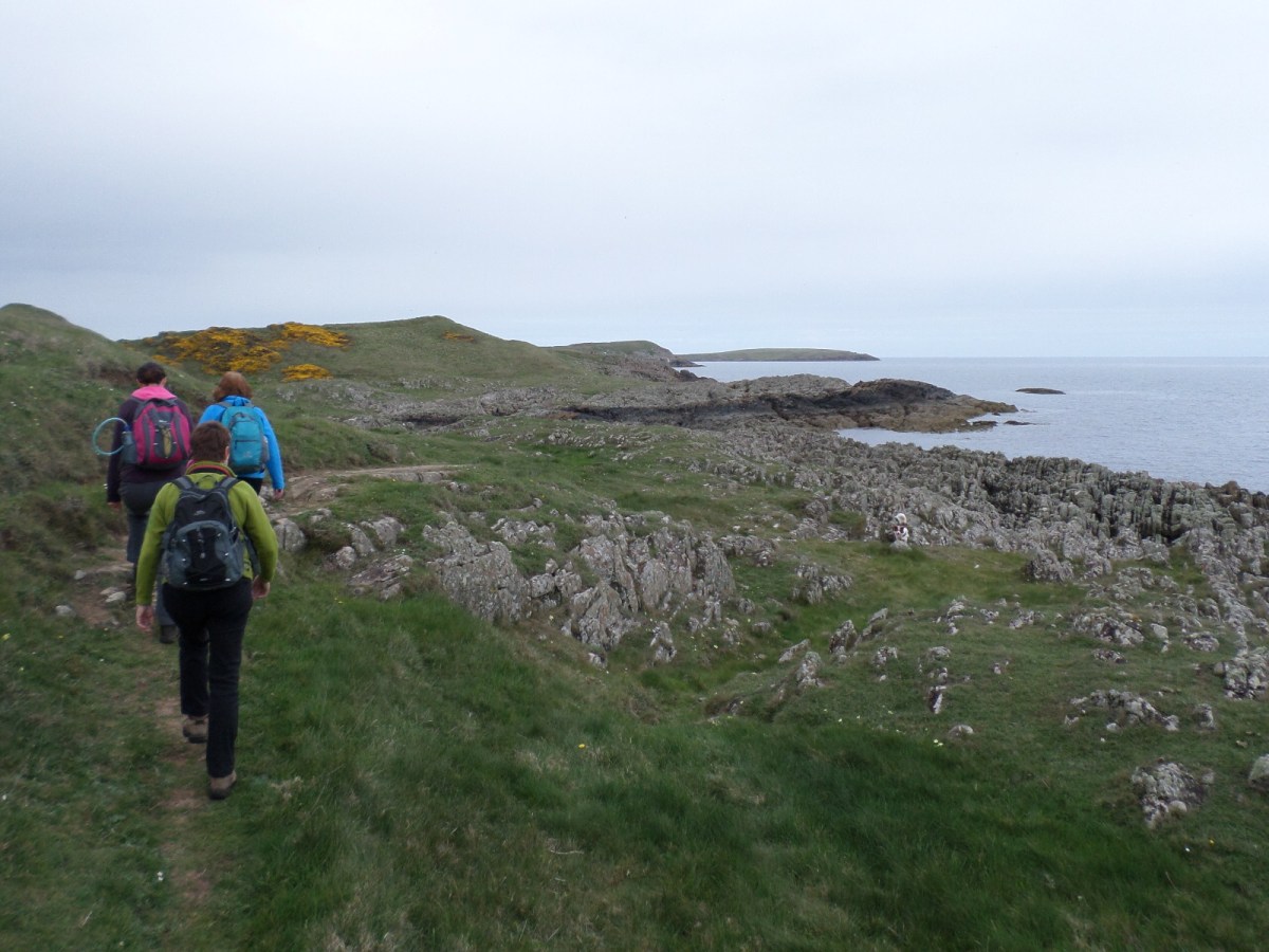 Stepping out along the Lecale Way – Walking Through 2017 and Beyond