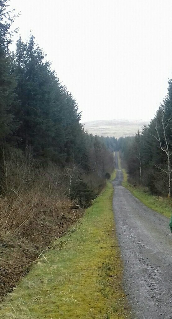 Sunshine in the Sperrins – Walking Through 2017 and Beyond