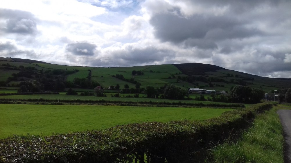 Bright and Beautiful Walk – Walking Through 2017 and Beyond